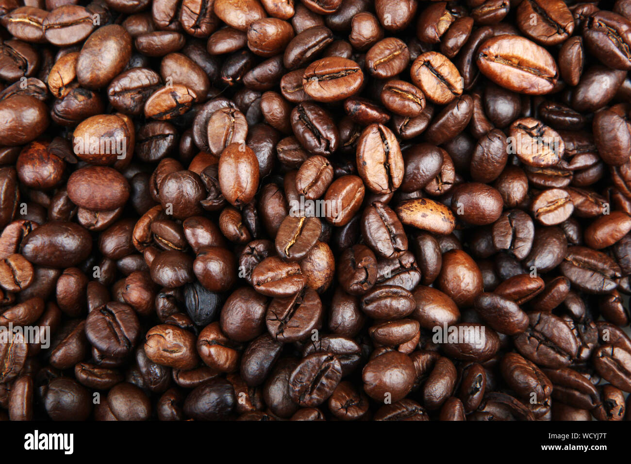 Coffee beans display hi-res stock photography and images - Alamy