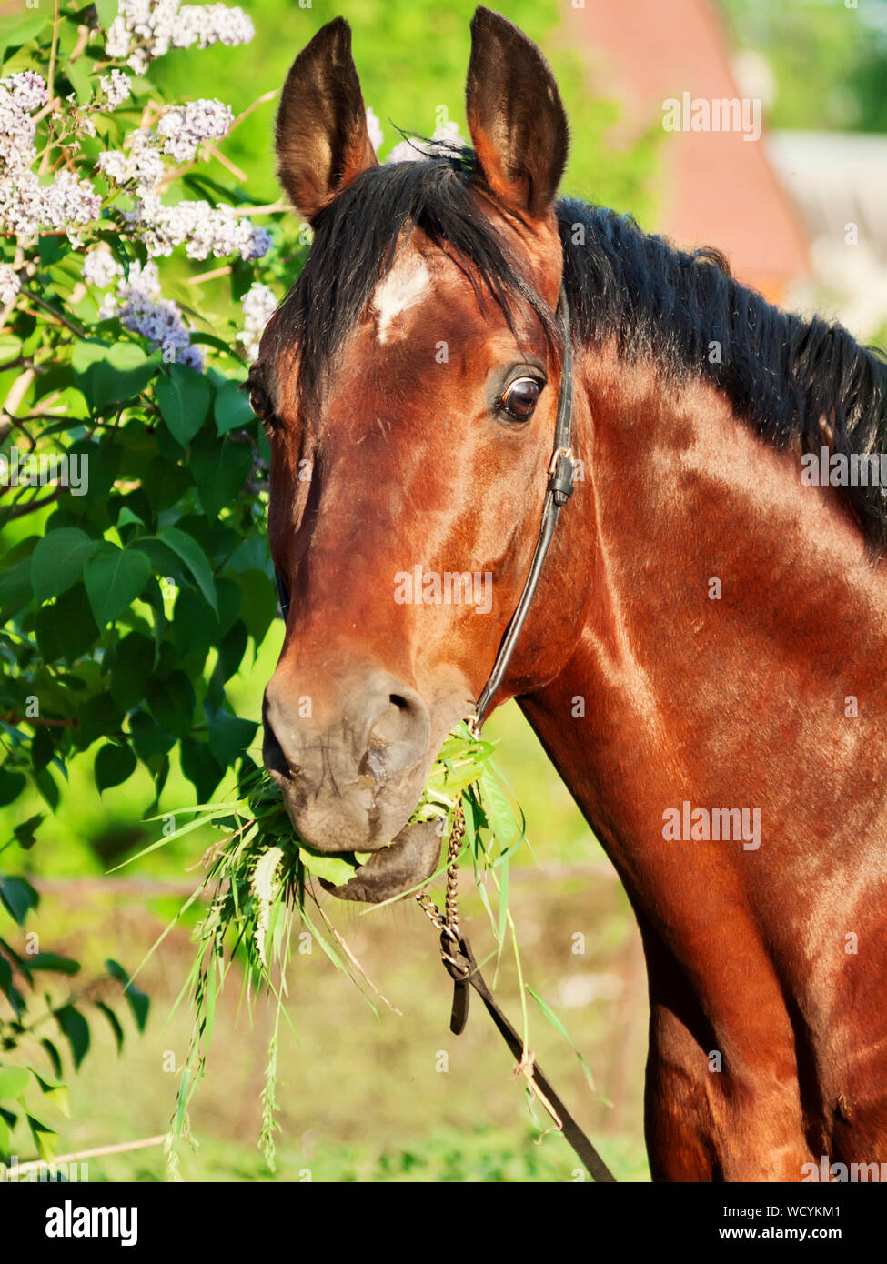 Standing up eating hi-res stock photography and images - Alamy