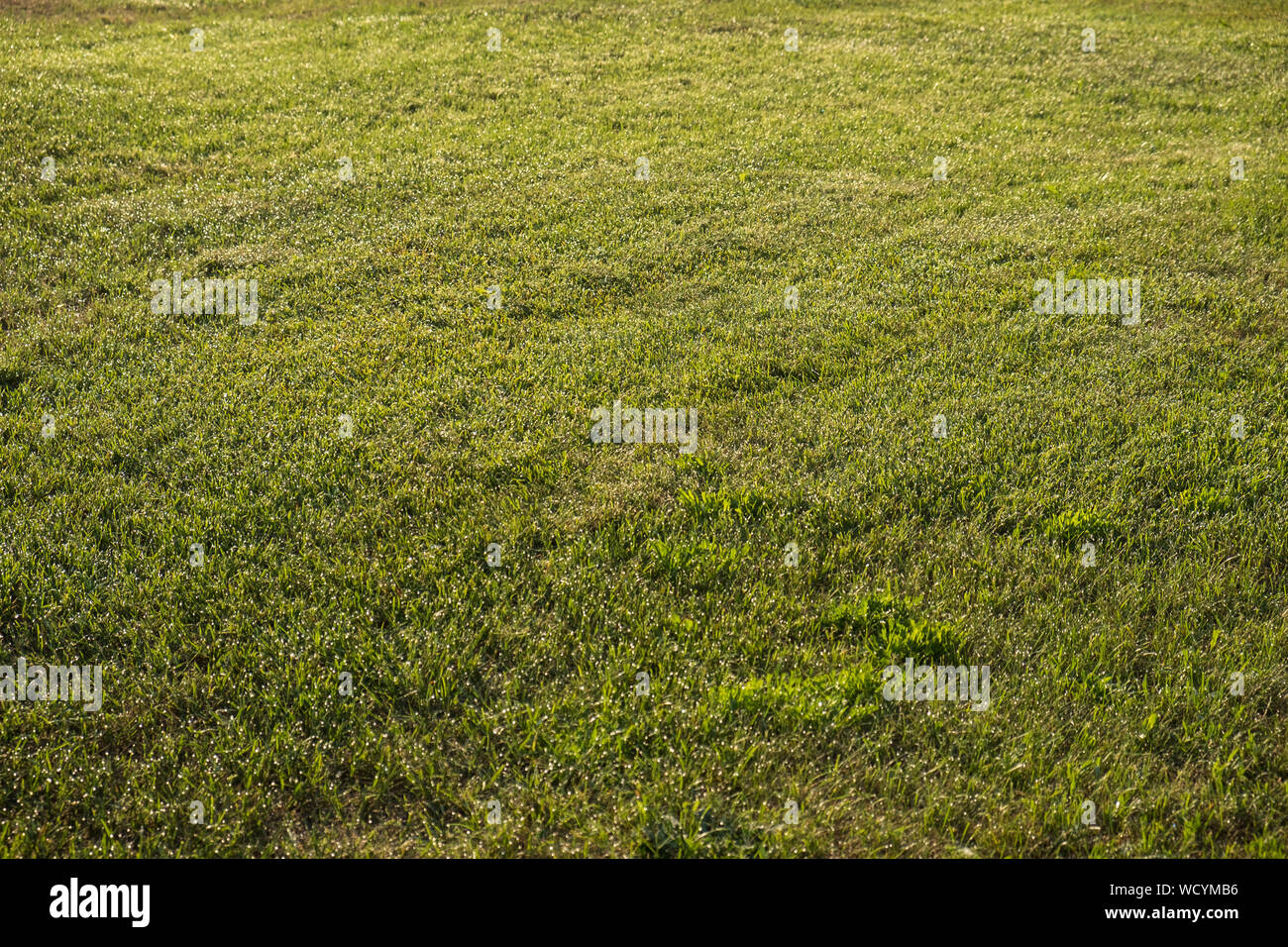 High angle shot grassland hi-res stock photography and images - Alamy