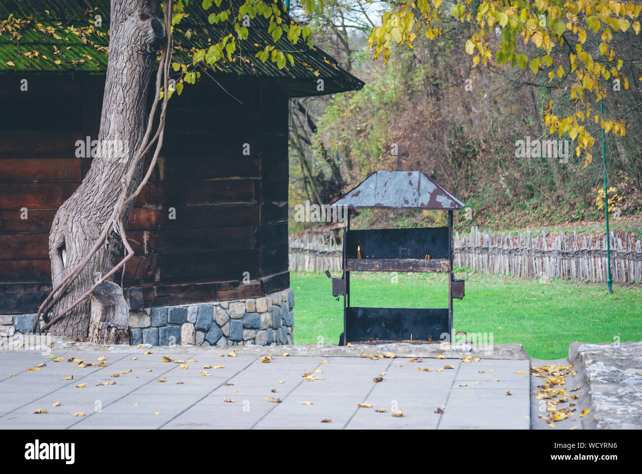 Trees and grass hi-res stock photography and images - Alamy