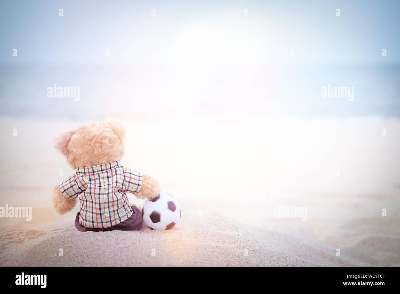 Teddy Bear At Beach High Resolution Stock Photography and Images - Alamy