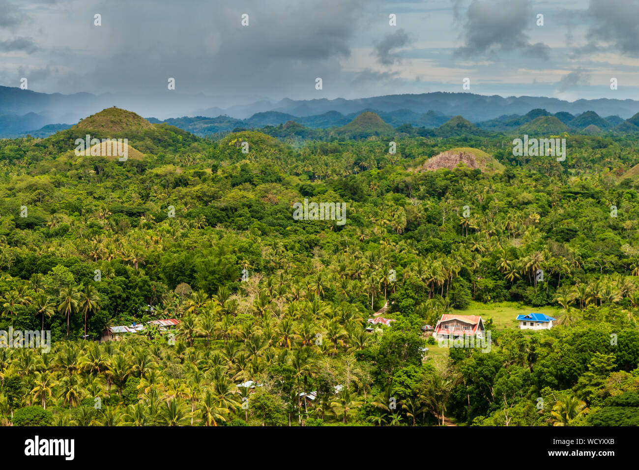 Aerial drone view of the limestone karsts in the Chocolate Hills area ...