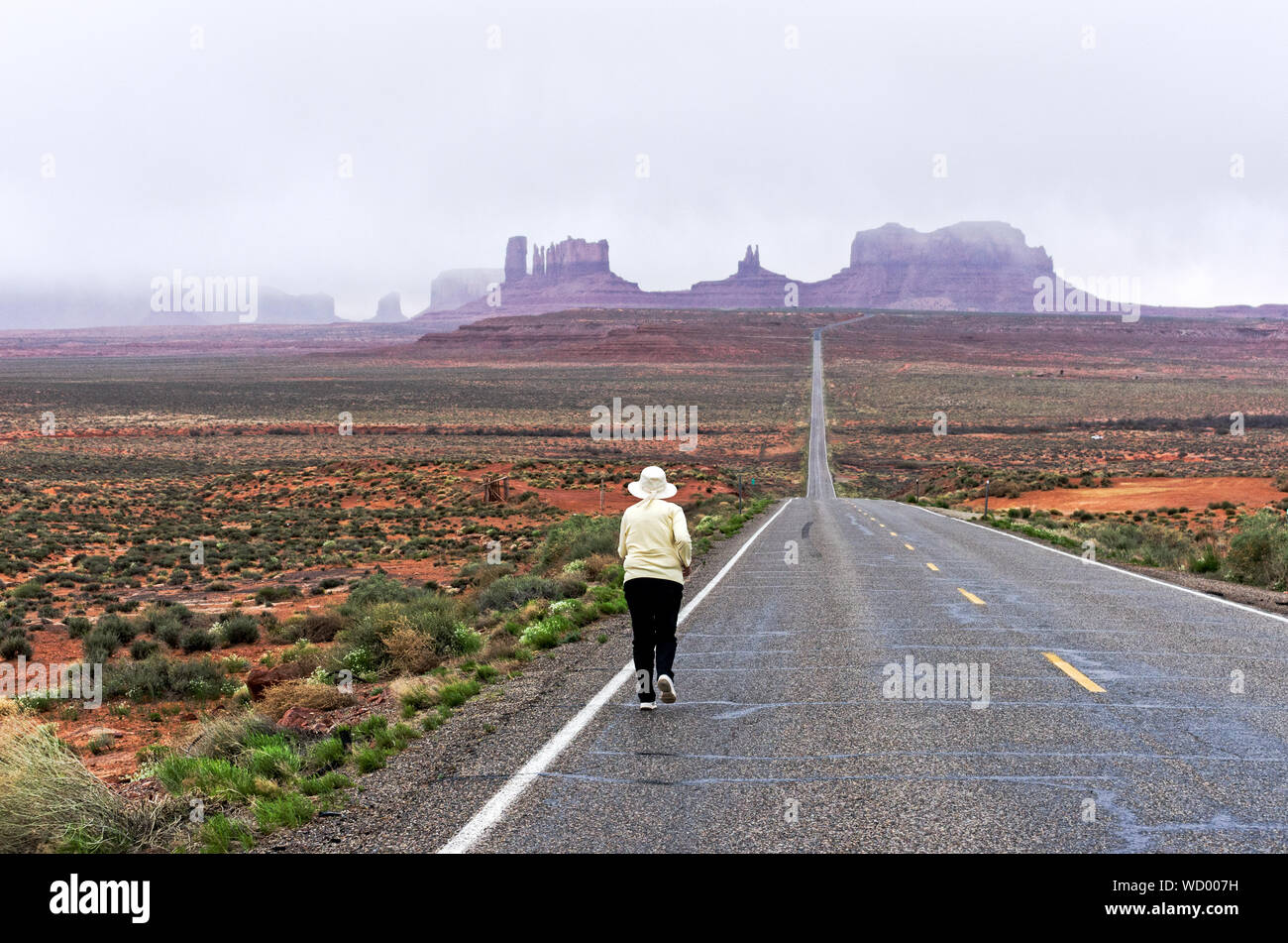 Country road running hi-res stock photography and images - Alamy