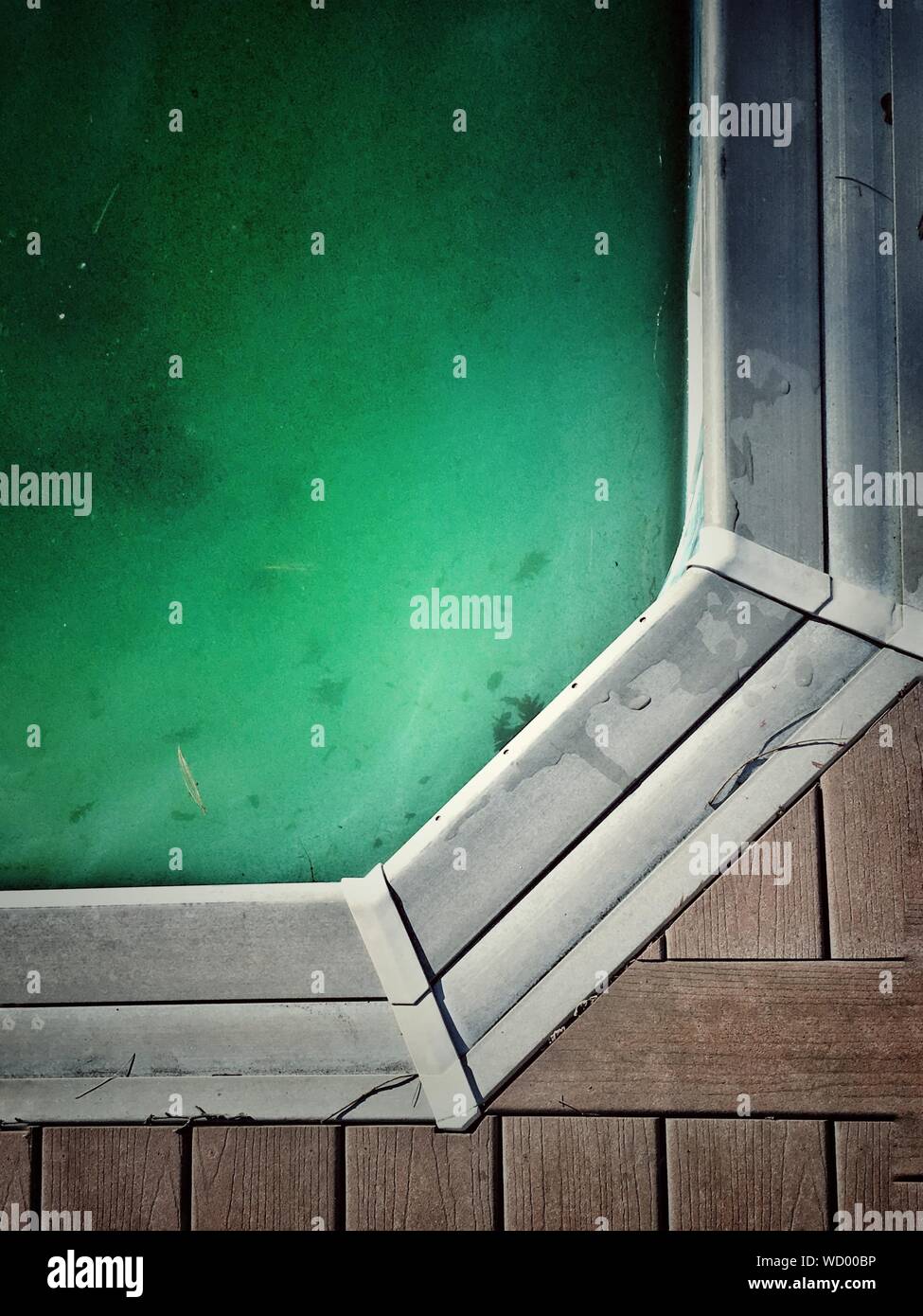 Swimming pool algae hi-res stock photography and images - Alamy