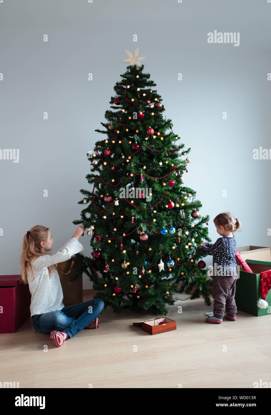 Family tree wall hi-res stock photography and images - Alamy