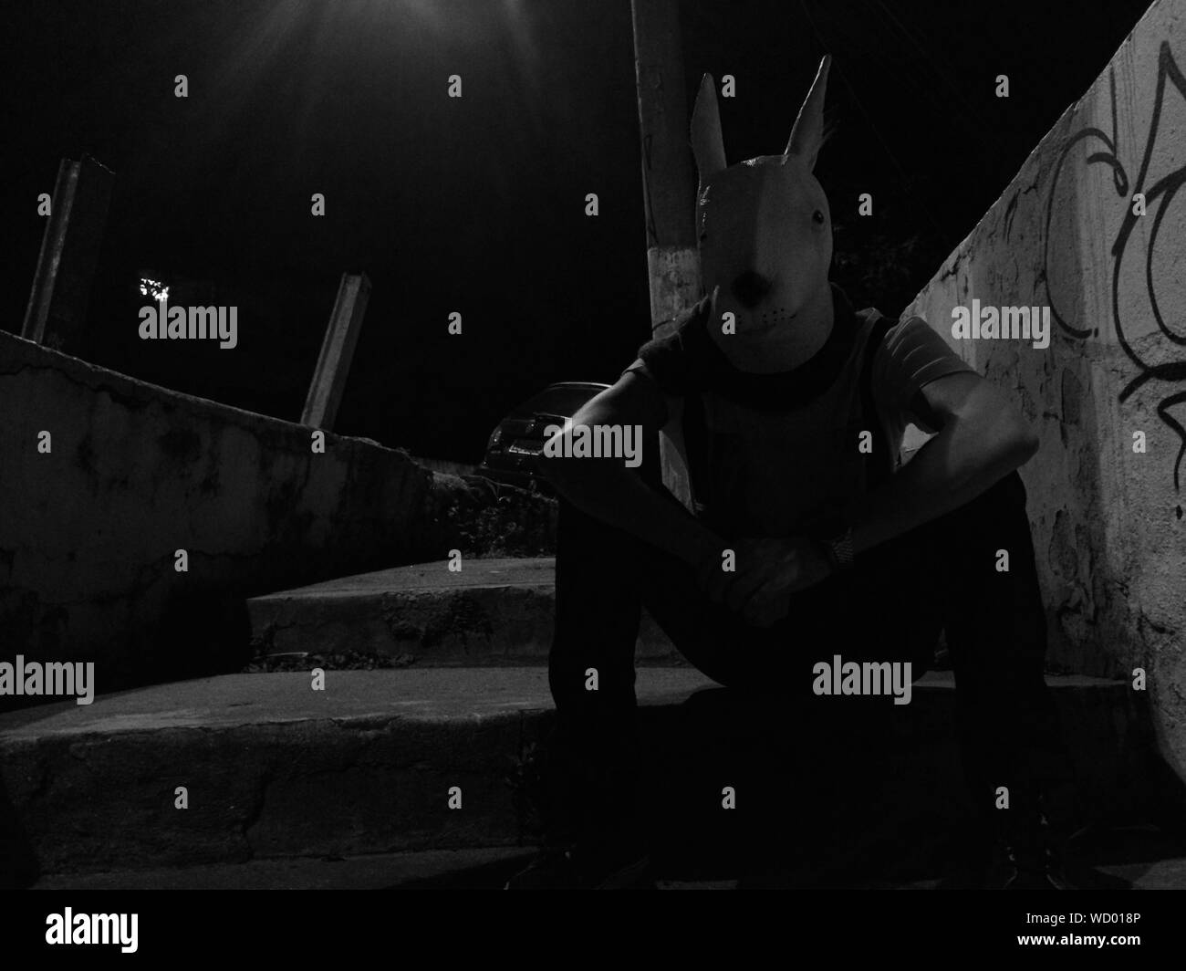 Man rabbit mask hi-res stock photography and images - Alamy