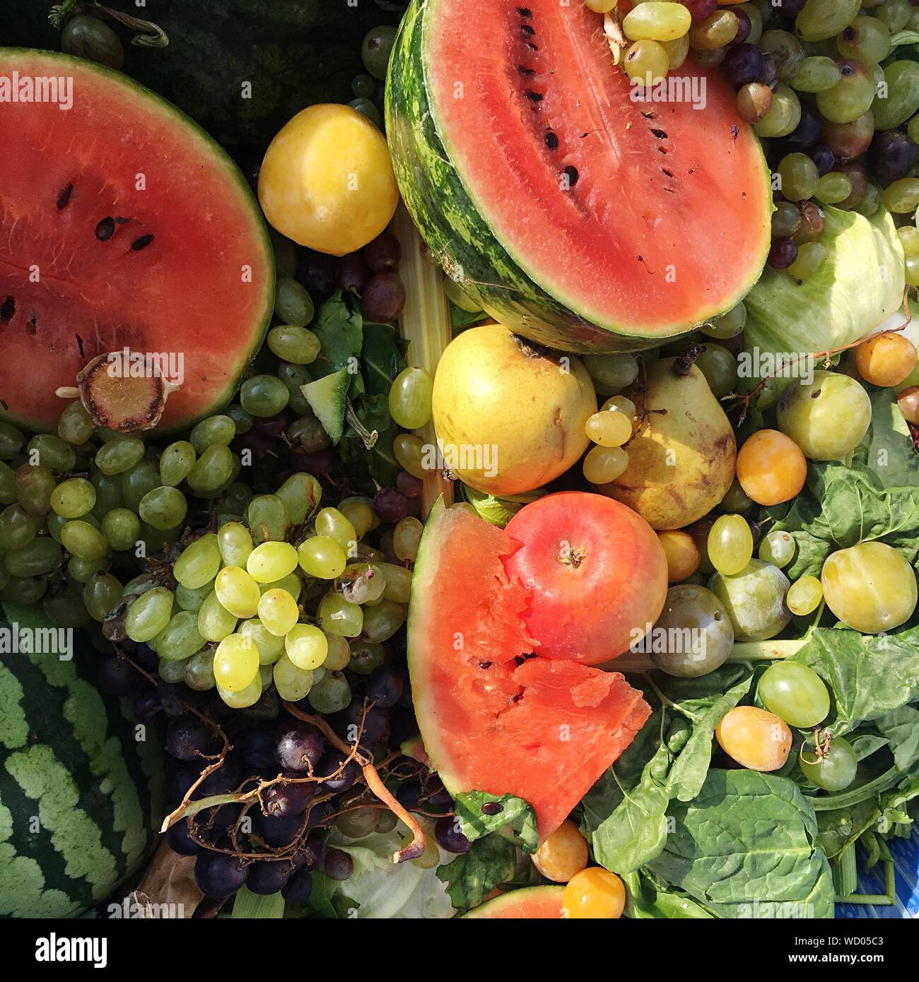 Angle various various various hi-res stock photography and images - Alamy Angle various various various hi-res stock photography and images - Alamy