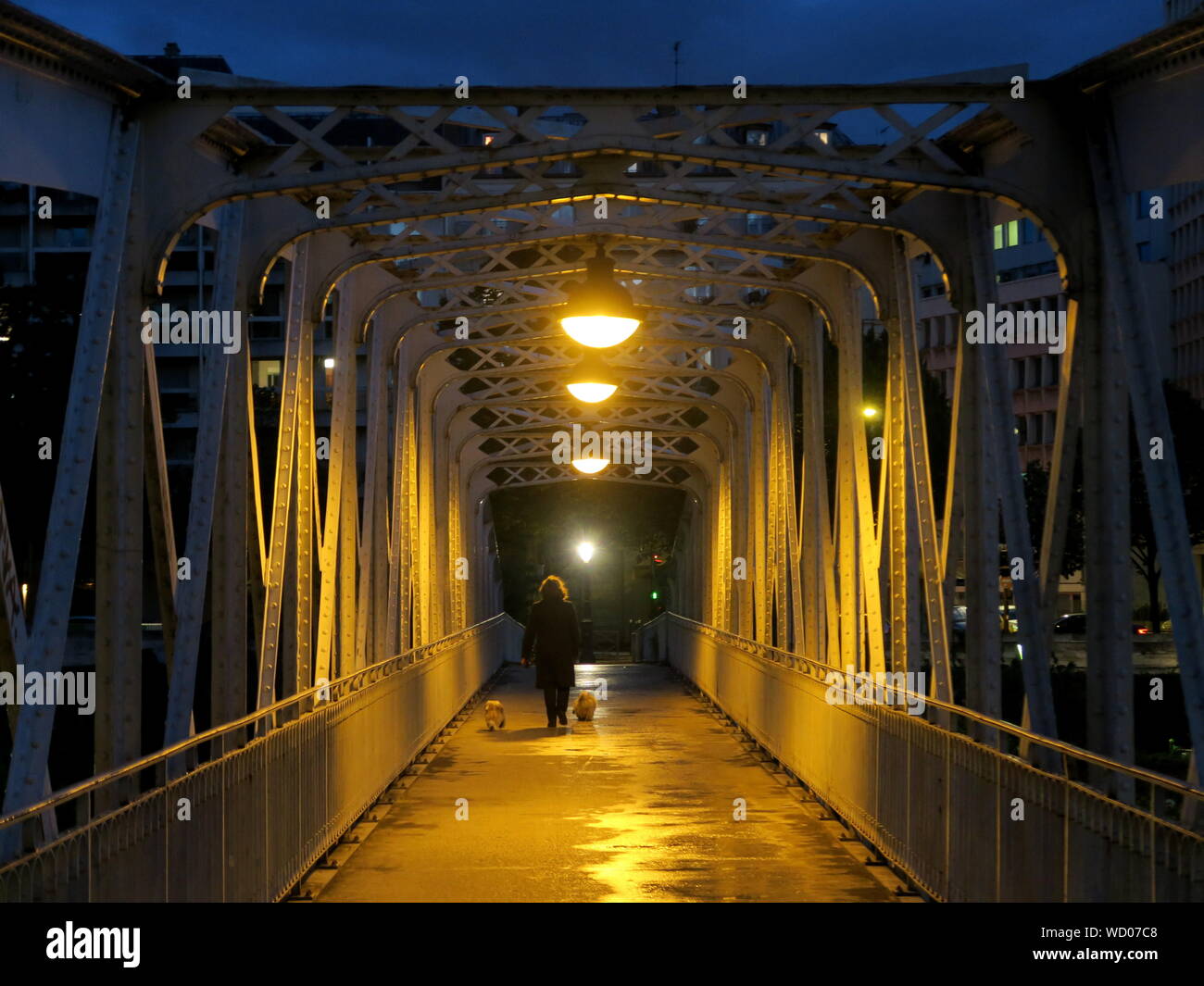 Bridge two dogs hi-res stock photography and images - Alamy