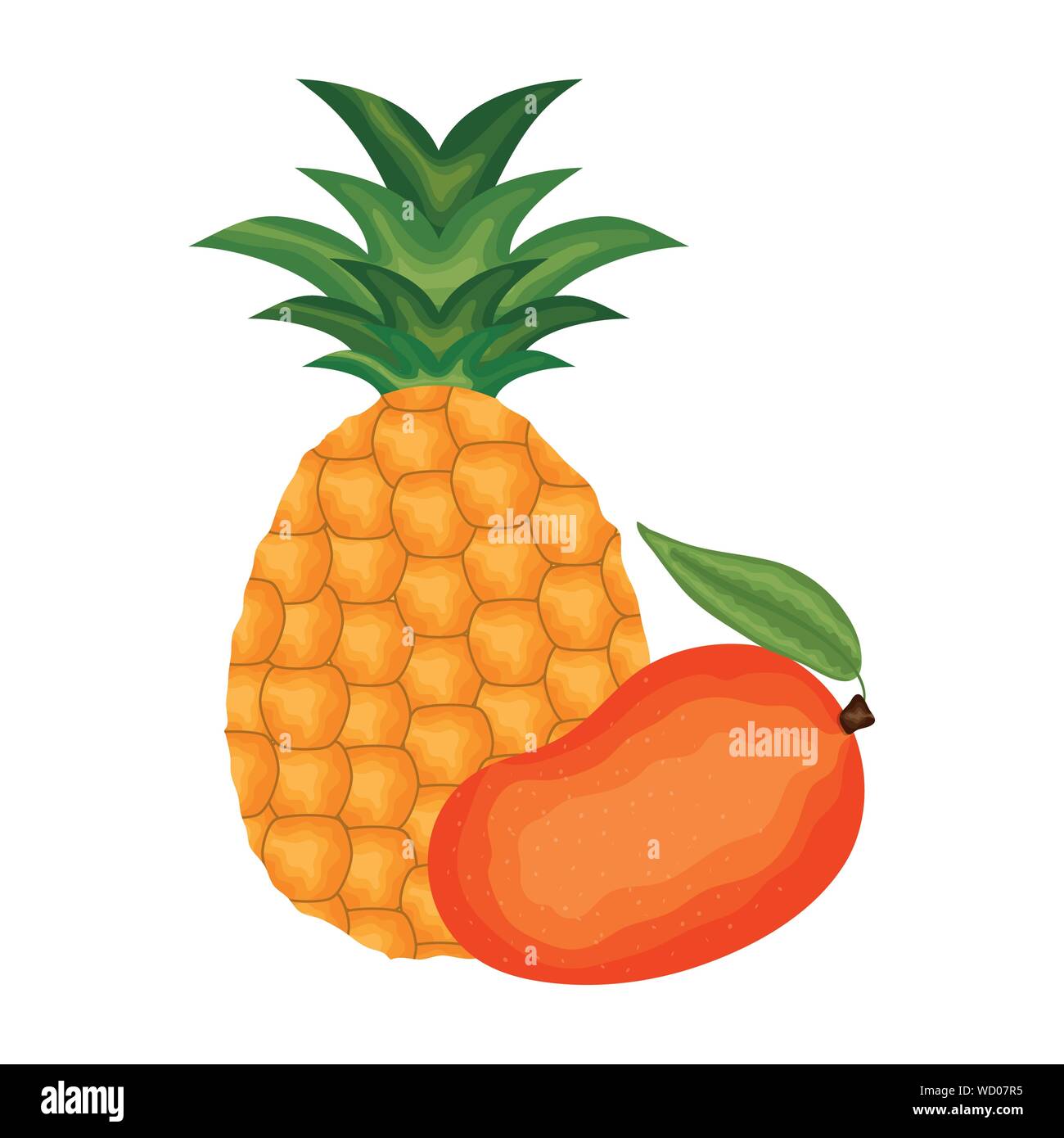 fresh mango and pineapple fruits vector illustration design Stock ...