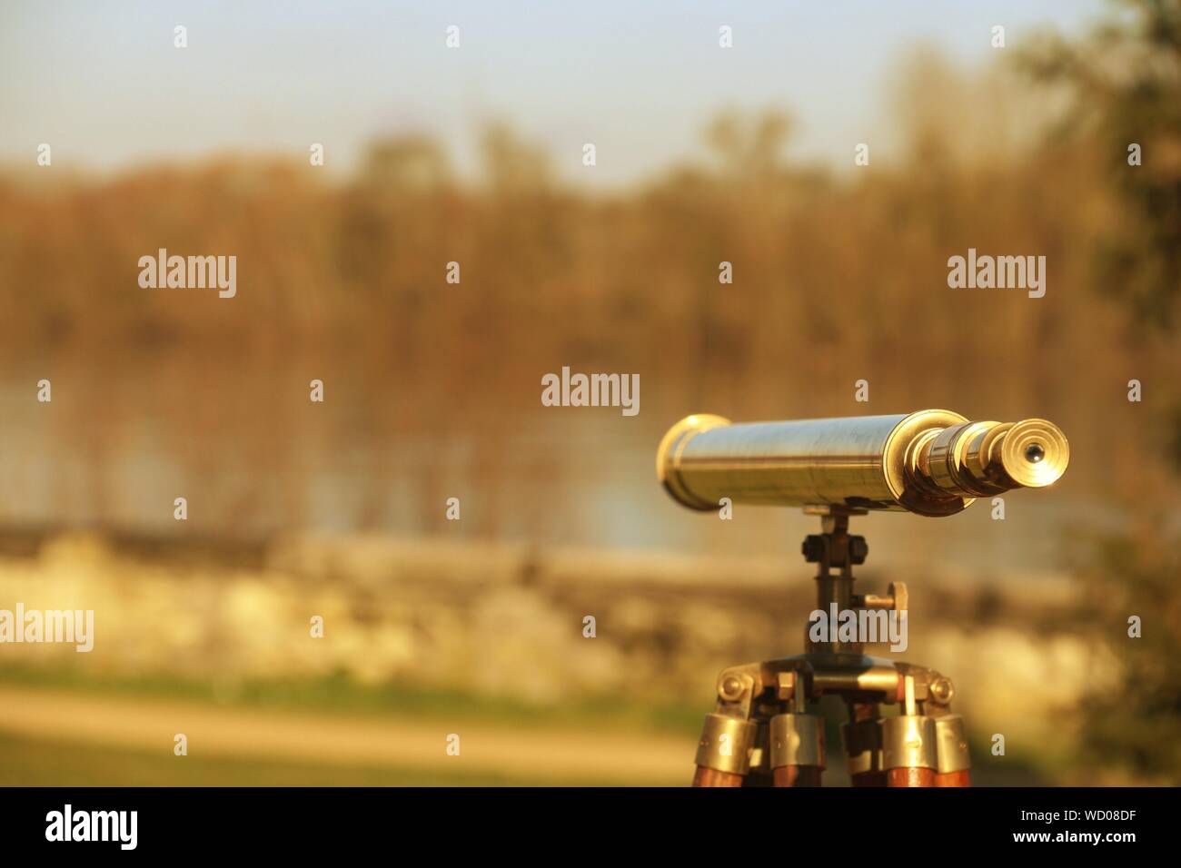 Telescope tree hi-res stock photography and images - Alamy