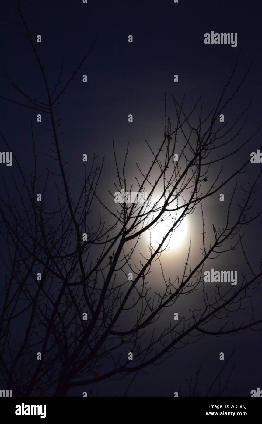 Lit up in the sun hi-res stock photography and images - Alamy