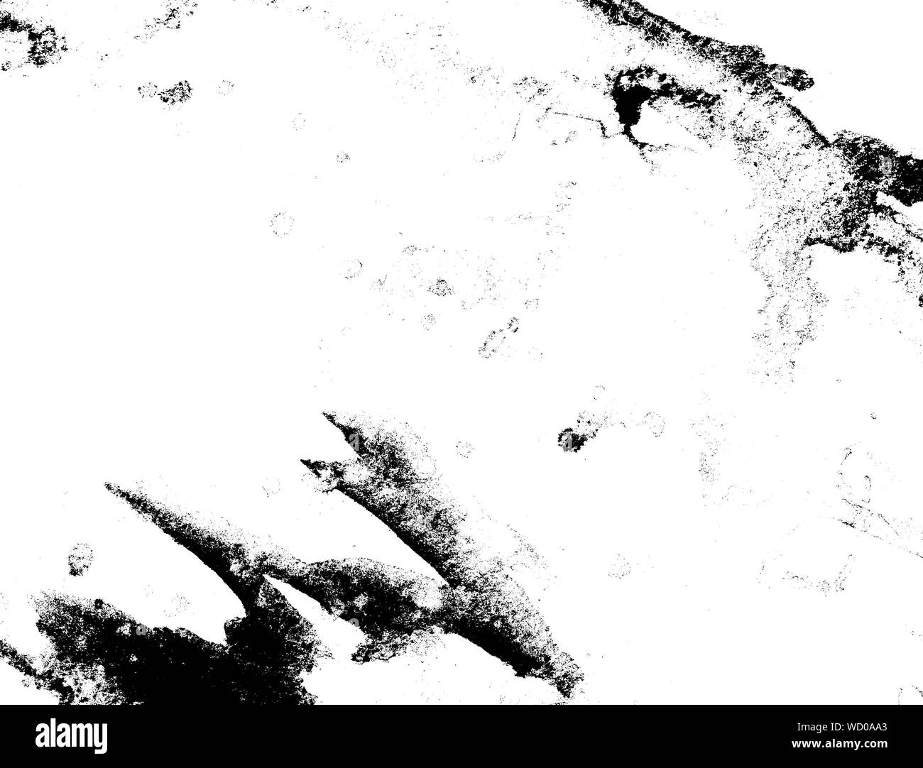 Black and white watercolor splash. Watercolor texture background Stock ...