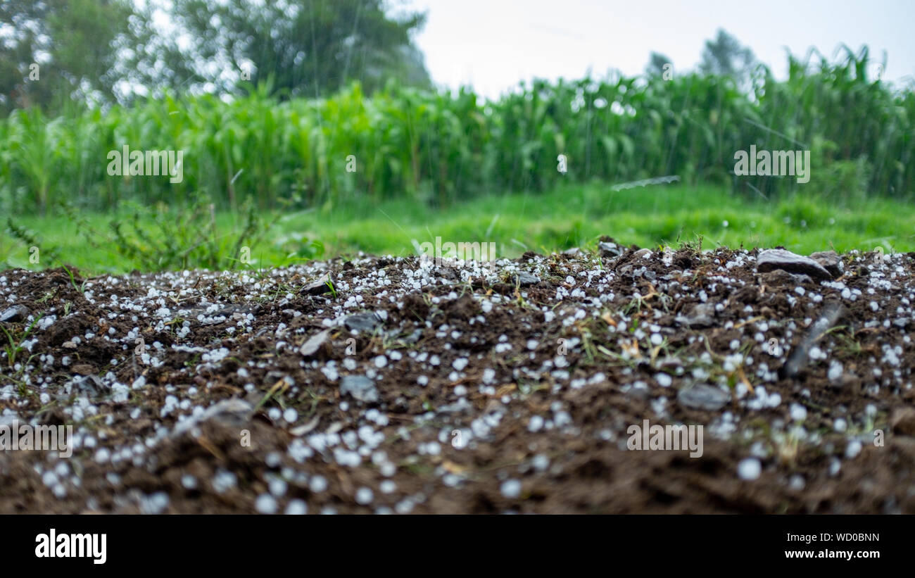 Season environment hi-res stock photography and images - Alamy