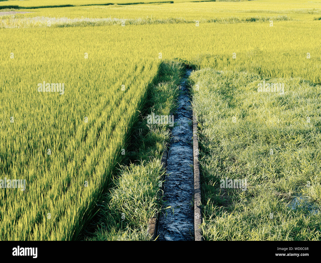 Artificial rill hi-res stock photography and images - Alamy