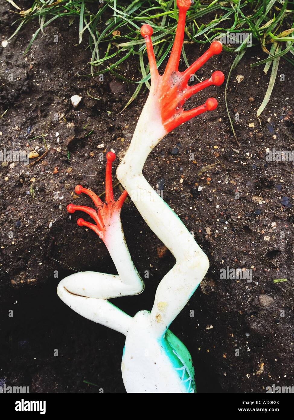 Jumping frog hi-res stock photography and images - Alamy