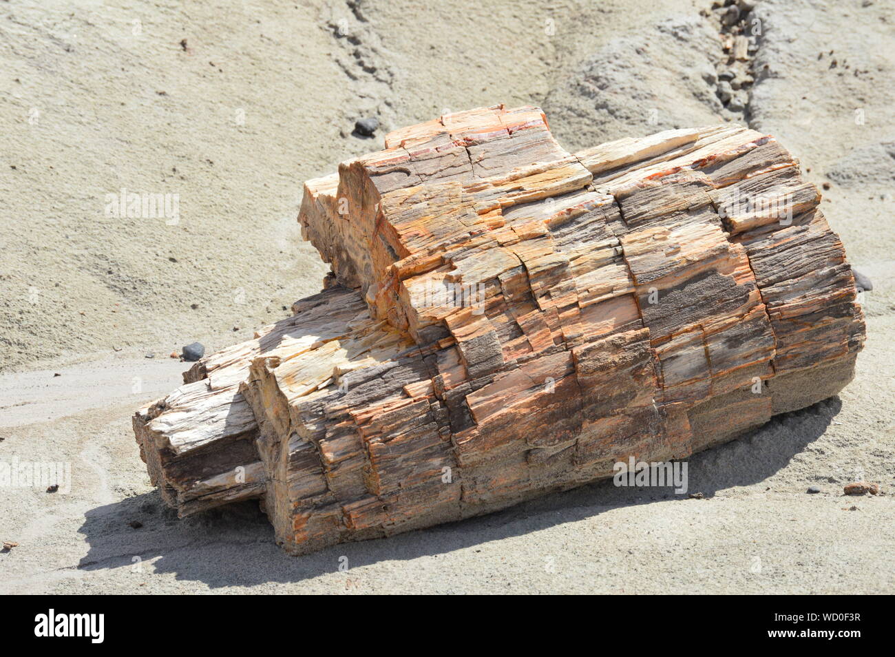 Desert wood hi-res stock photography and images - Alamy