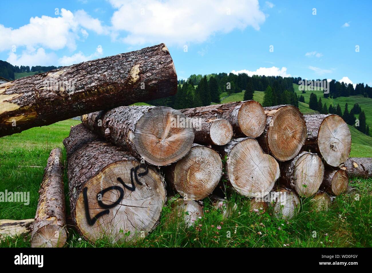 Stack And Stump High Resolution Stock Photography and Images - Alamy