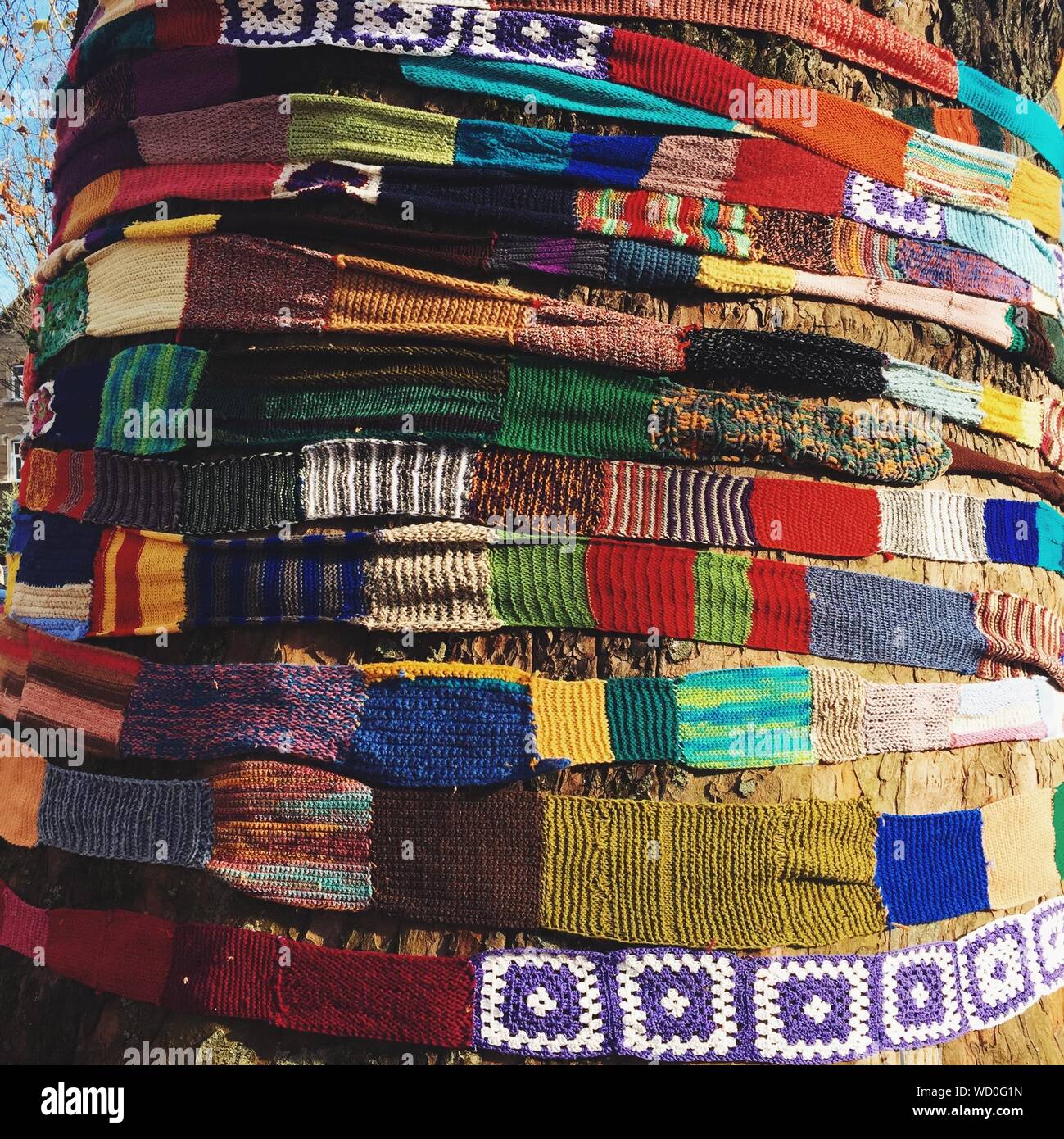 Wool tree hi-res stock photography and images - Alamy