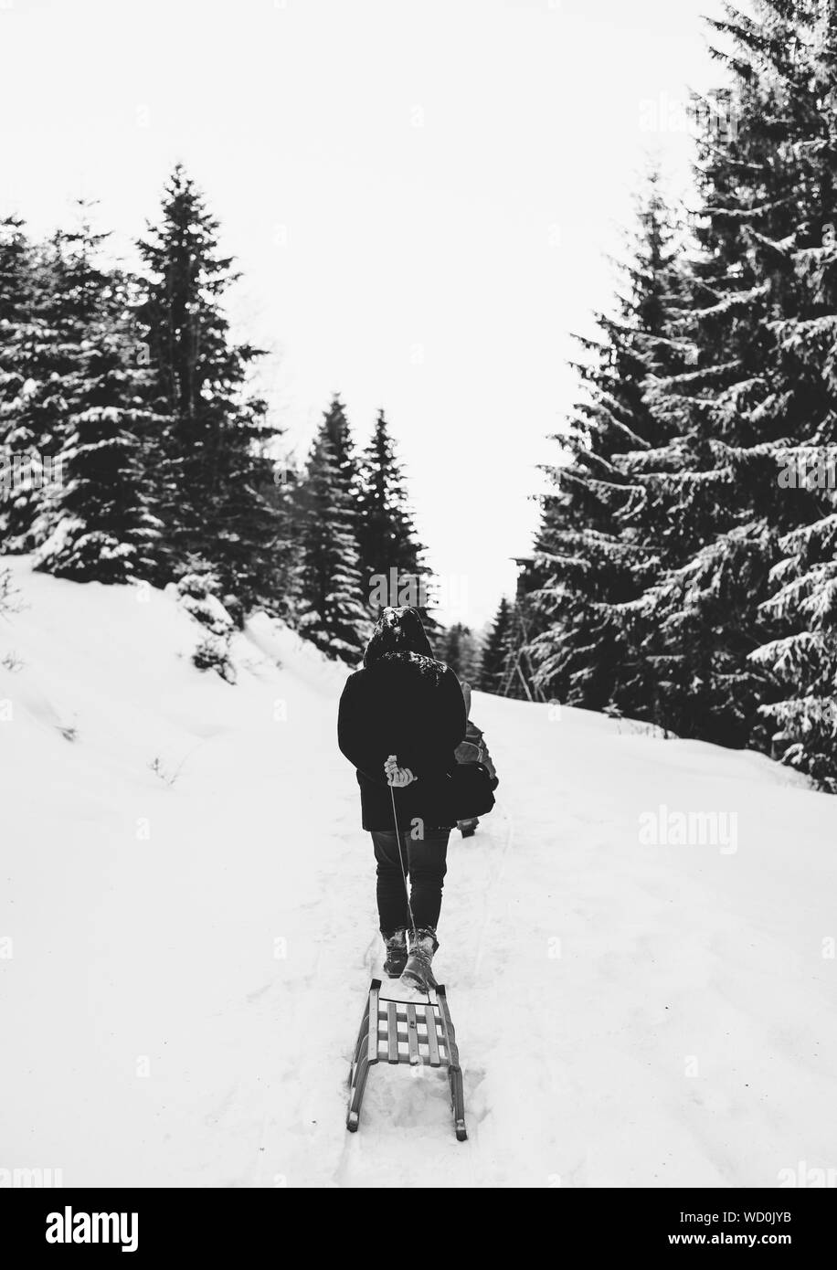 Sledge slope Black and White Stock Photos & Images - Alamy