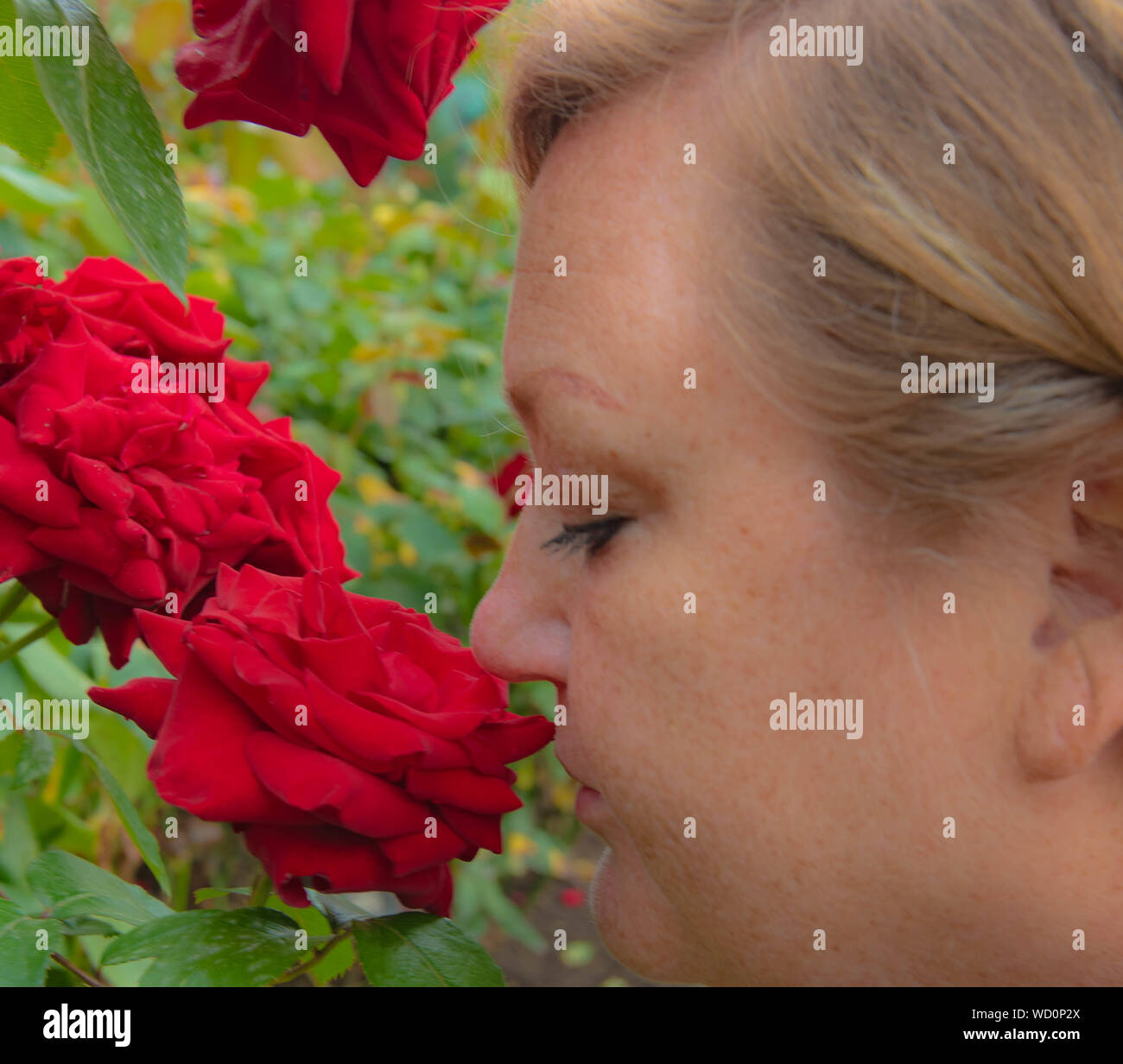 Stopping to smell the flowers hi-res stock photography and images - Alamy