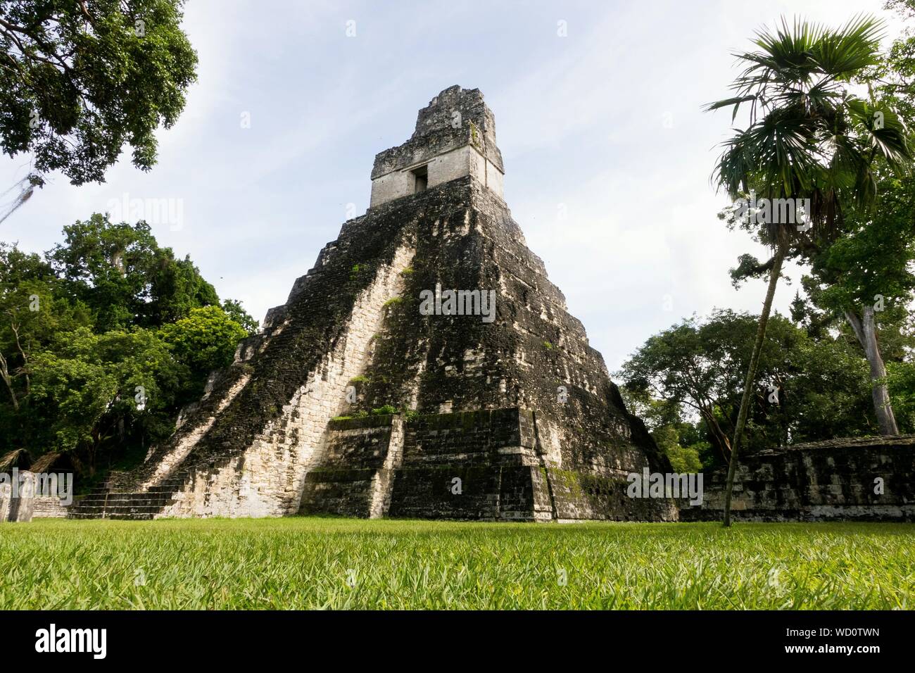Tikal archaeology hi-res stock photography and images - Alamy