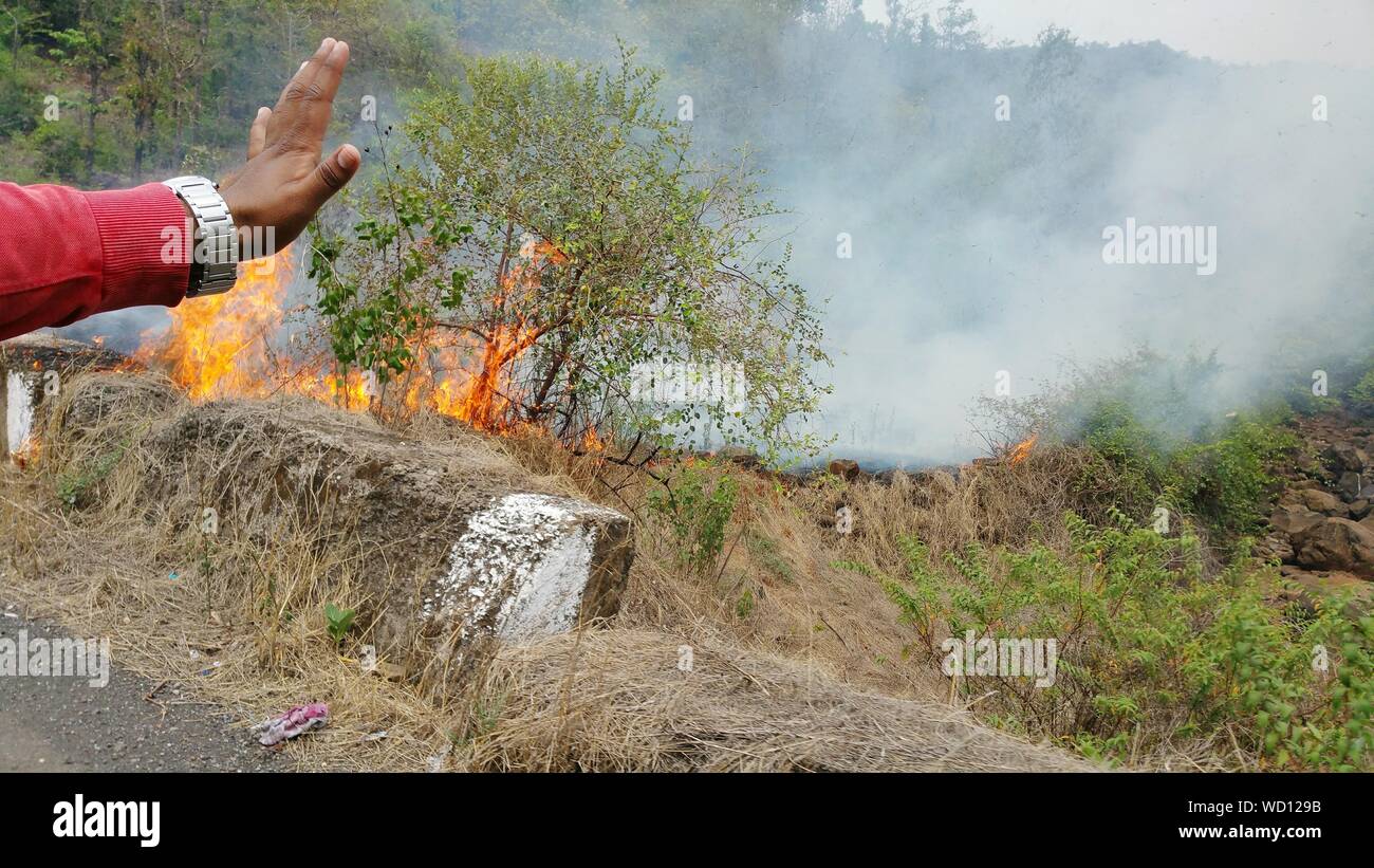 Tree fire hand hi-res stock photography and images - Alamy