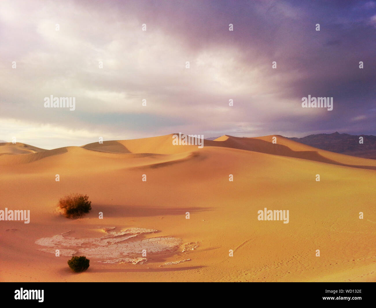 Empty desert hi-res stock photography and images - Alamy