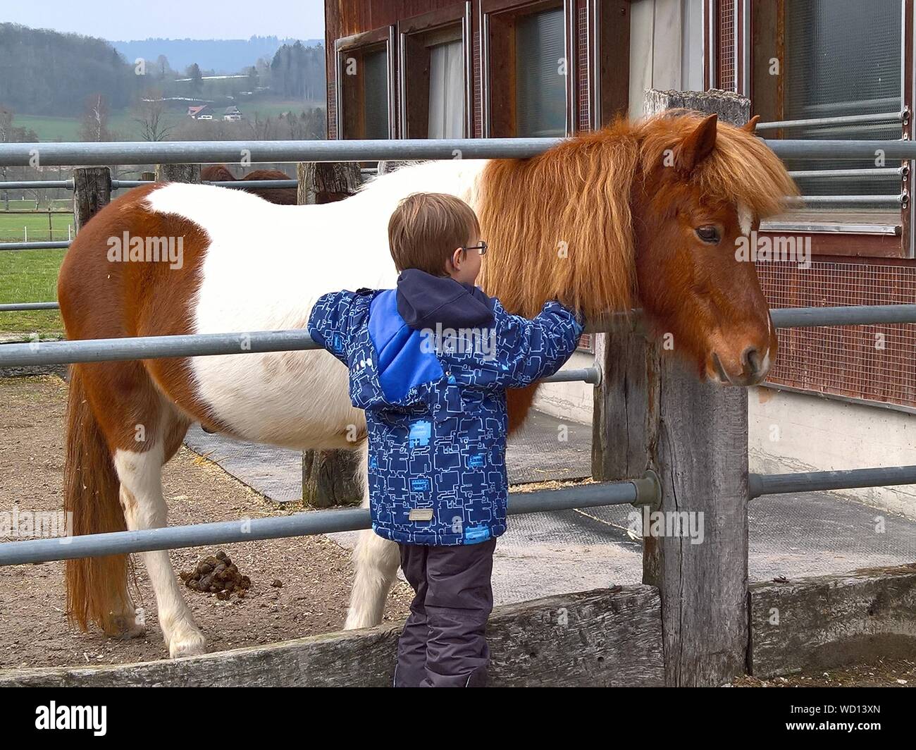 Boy and pony hi-res stock photography and images - Alamy