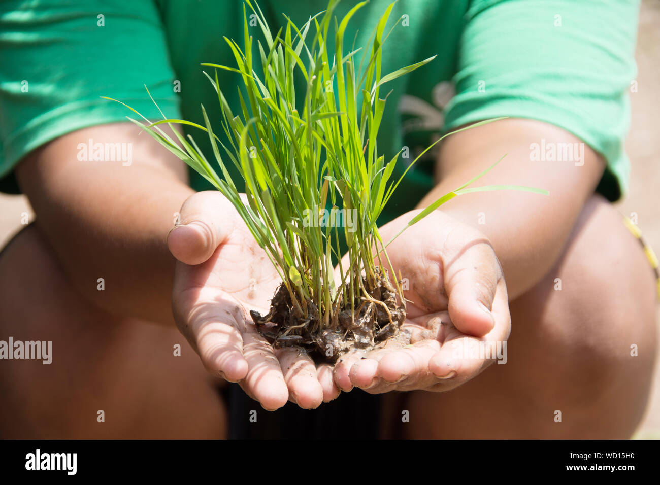 Holding grass hi-res stock photography and images - Alamy
