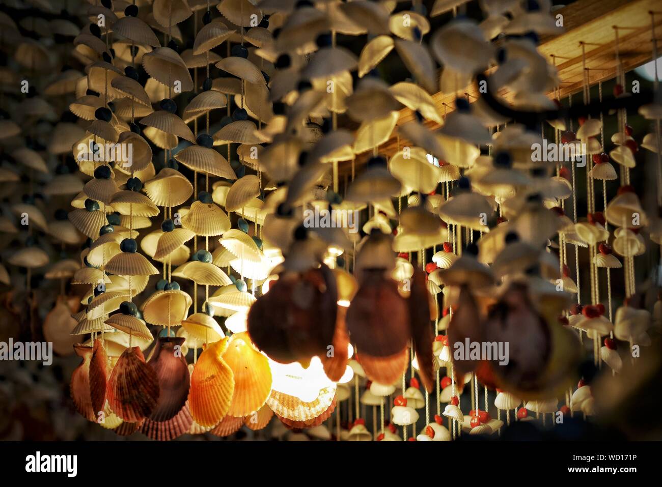 Strings seashells hi-res stock photography and images - Alamy