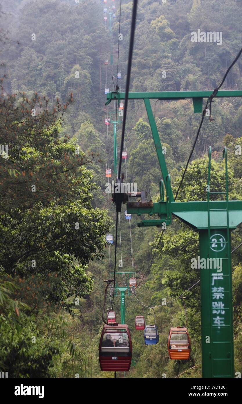 Overhead forest hi-res stock photography and images - Alamy