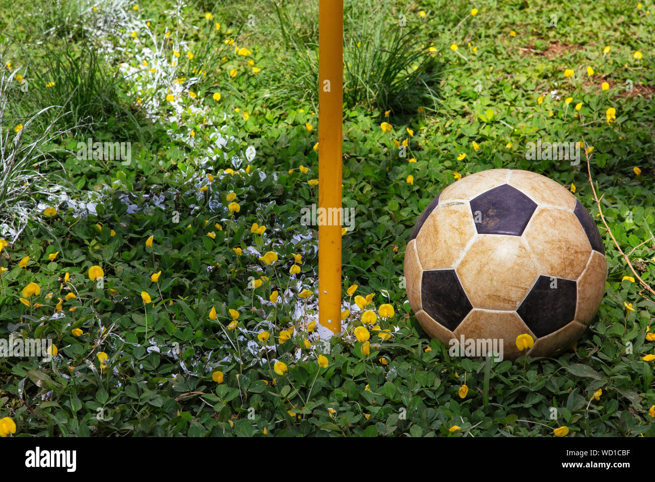 Field pole hi-res stock photography and images - Alamy
