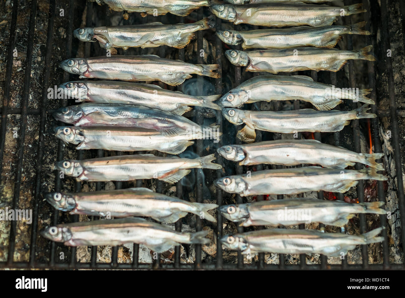 Capelin fish hi-res stock photography and images - Alamy