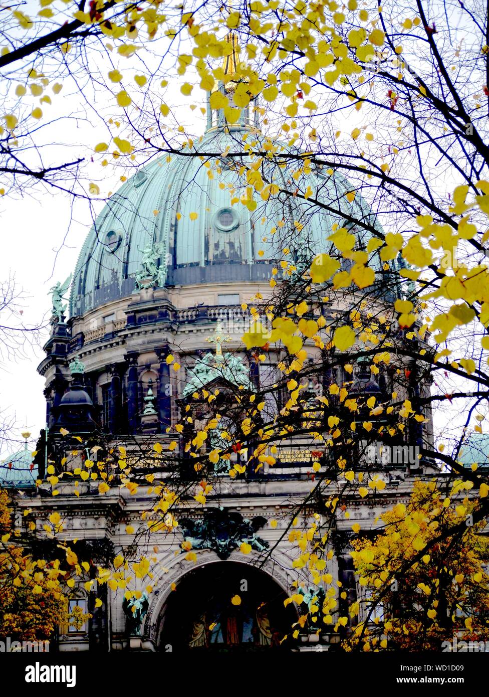 Building branch hi-res stock photography and images - Alamy