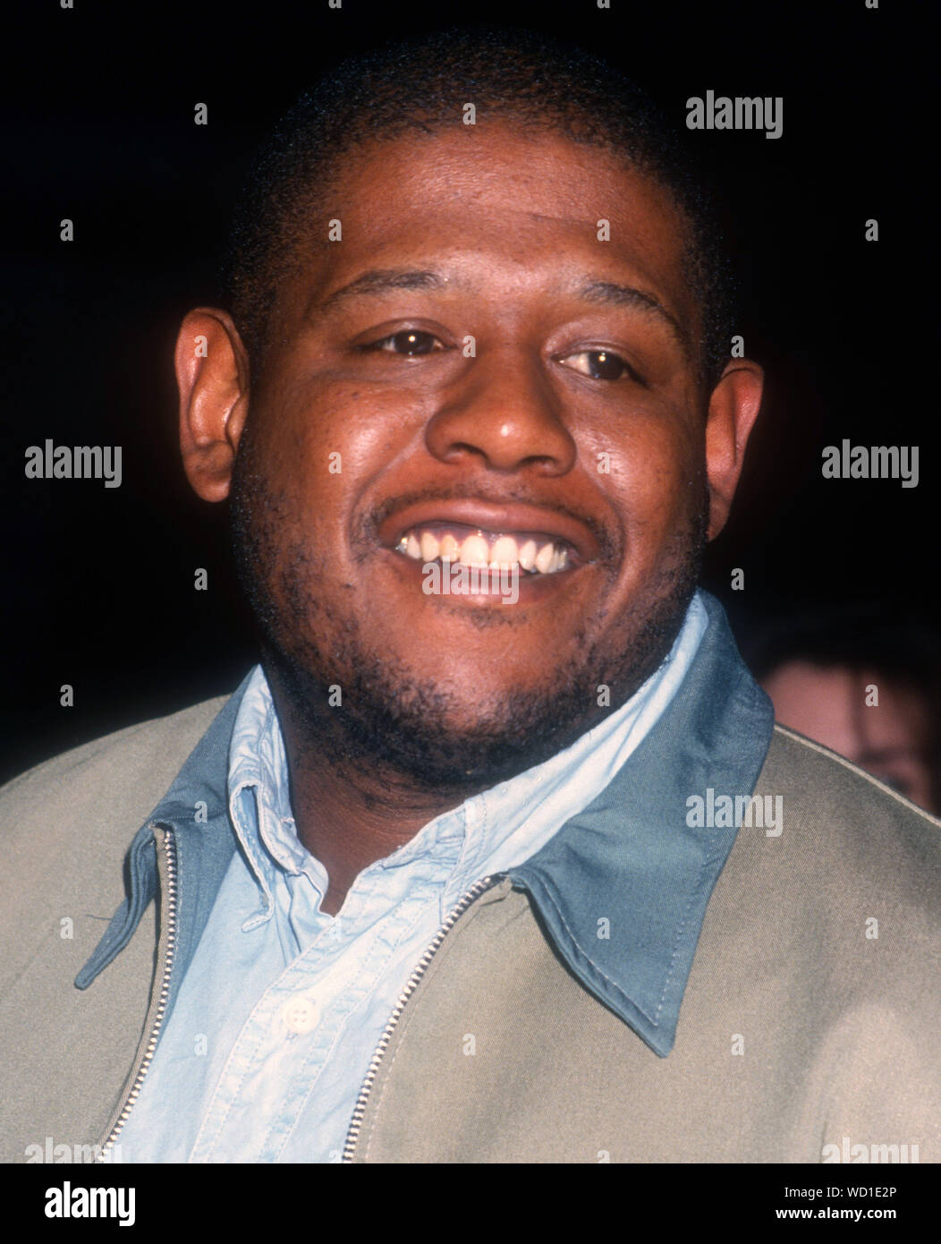 Forest Whitaker, 1993, Photo By Michael Ferguson/PHOTOlink / MediaPunch ...