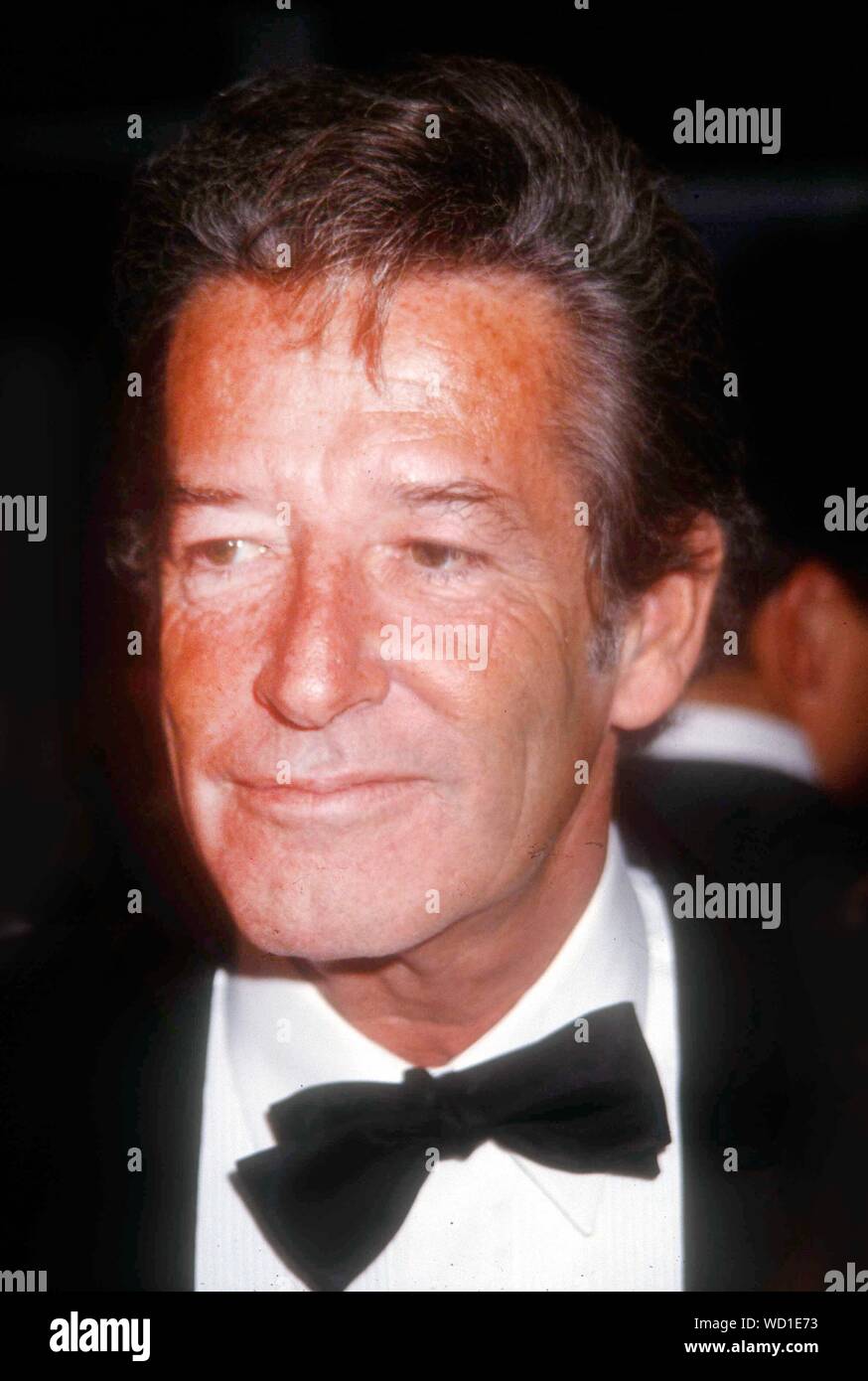 Steve Dunleavy 1991Photo by Adam Scull/PHOTOlink / MediaPunch Stock ...