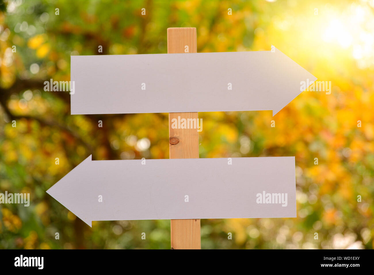 Blank directional signs hi-res stock photography and images - Alamy
