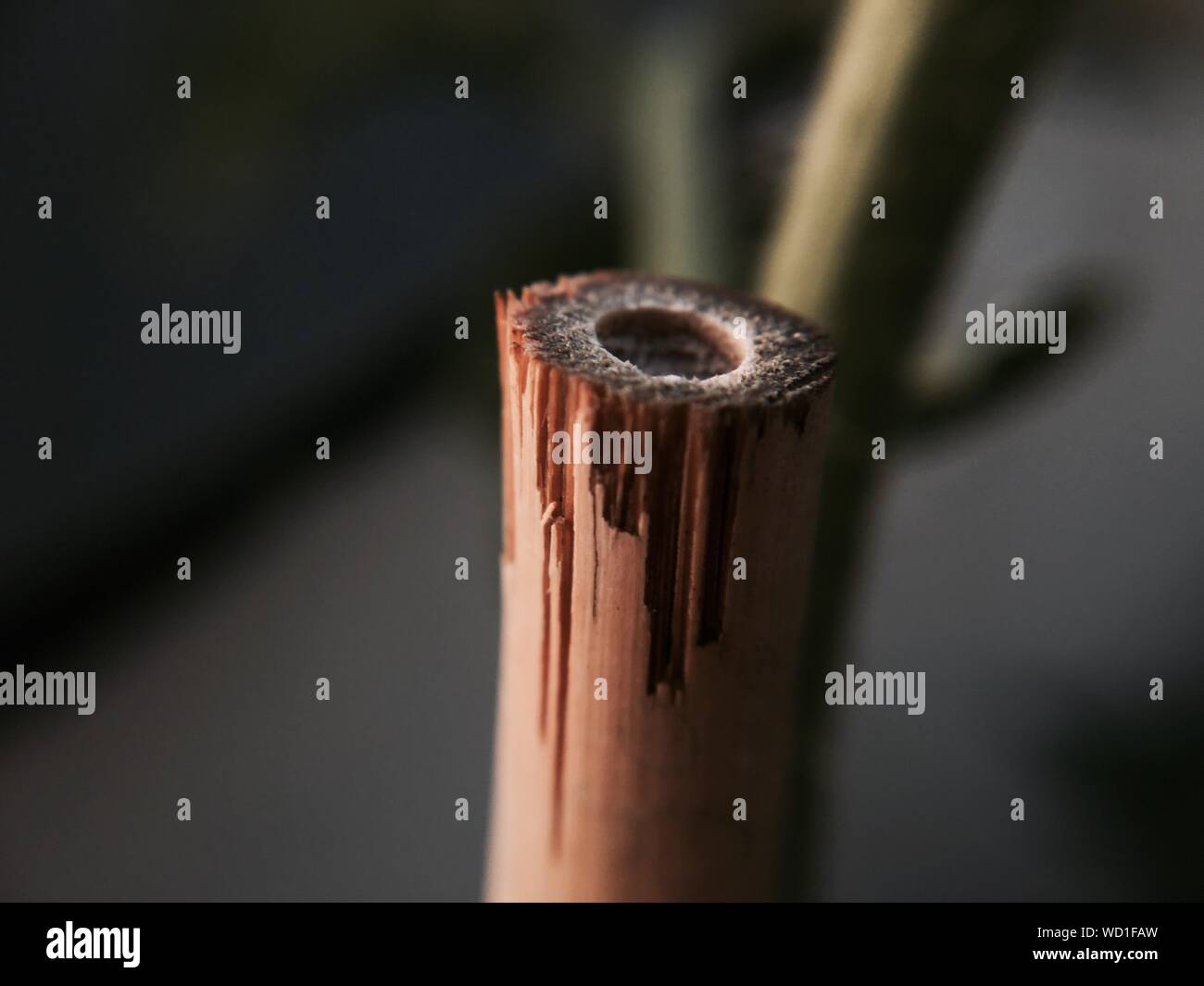 Bamboo detail hi-res stock photography and images - Alamy
