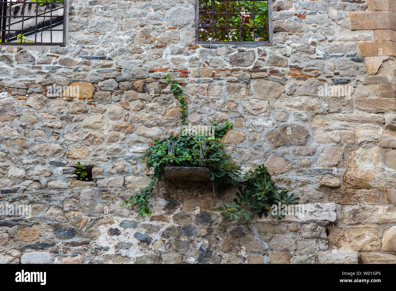 Plants growing stone wall architecture hi-res stock photography and ...