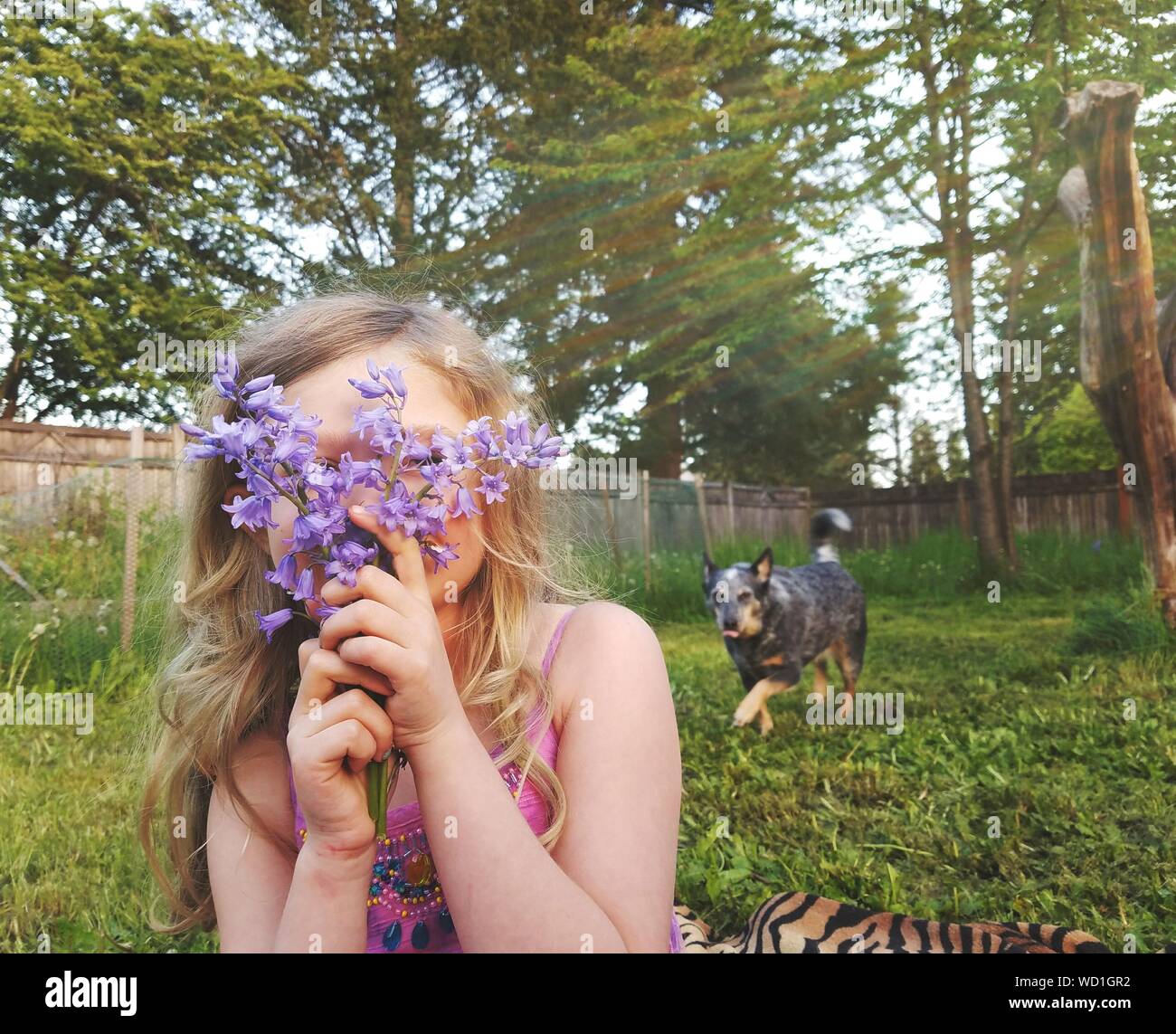 Person Hiding In Public High Resolution Stock Photography and Images ...