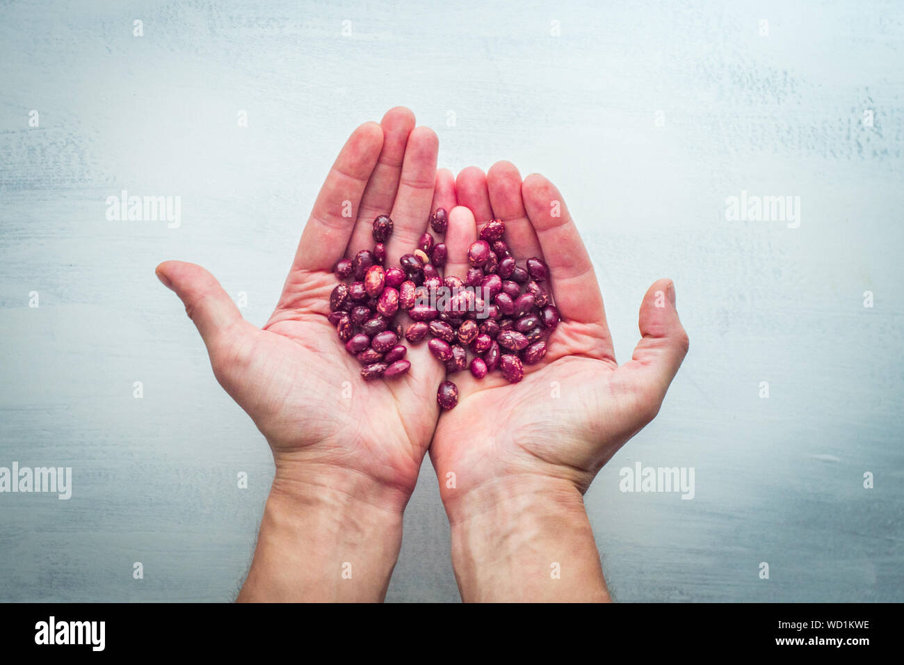 Hands Holding Red Beans on White Background Stock Photo - Alamy