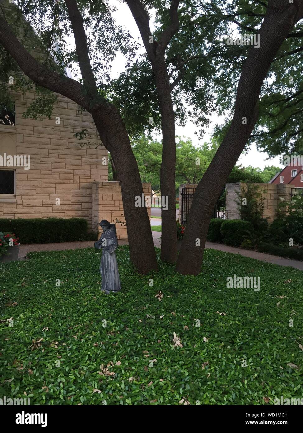 Woman statue tree hi-res stock photography and images - Alamy