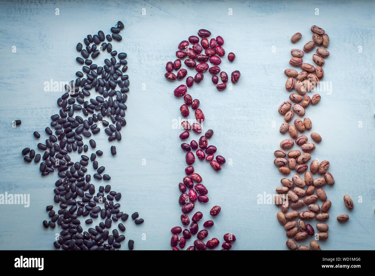 Beans of Different Colors, on a White Background Stock Photo - Alamy