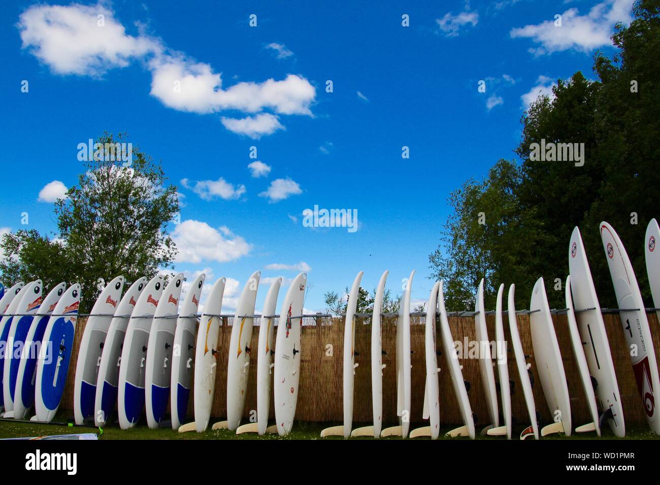 Row of blue surfboards hi-res stock photography and images - Alamy