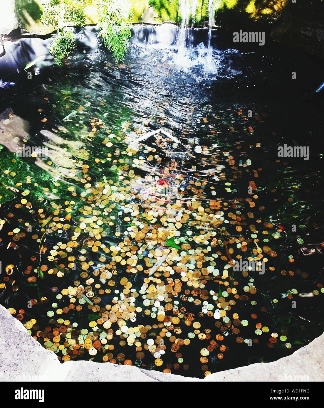 Pond tradition hi-res stock photography and images - Alamy