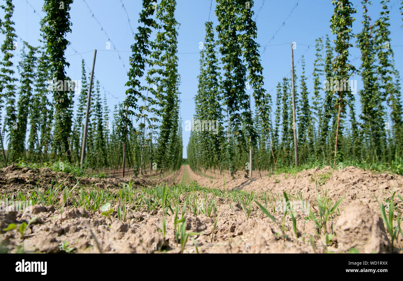 Association for consumer information hi-res stock photography and ...