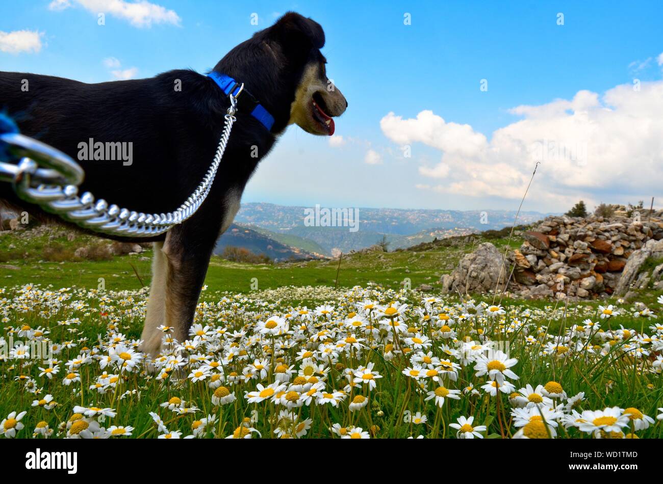 Get out in nature hi-res stock photography and images - Alamy