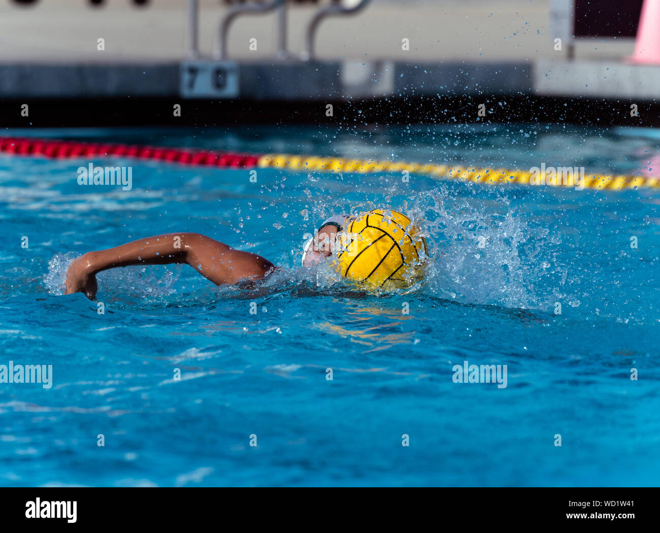 Water polo player in white uniform swims and pushes ball to the ...