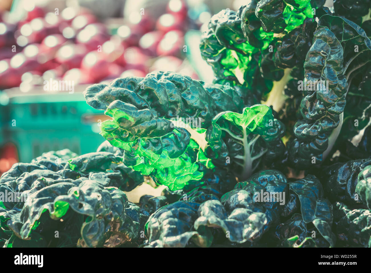 Silverbeet home garden hi-res stock photography and images - Alamy