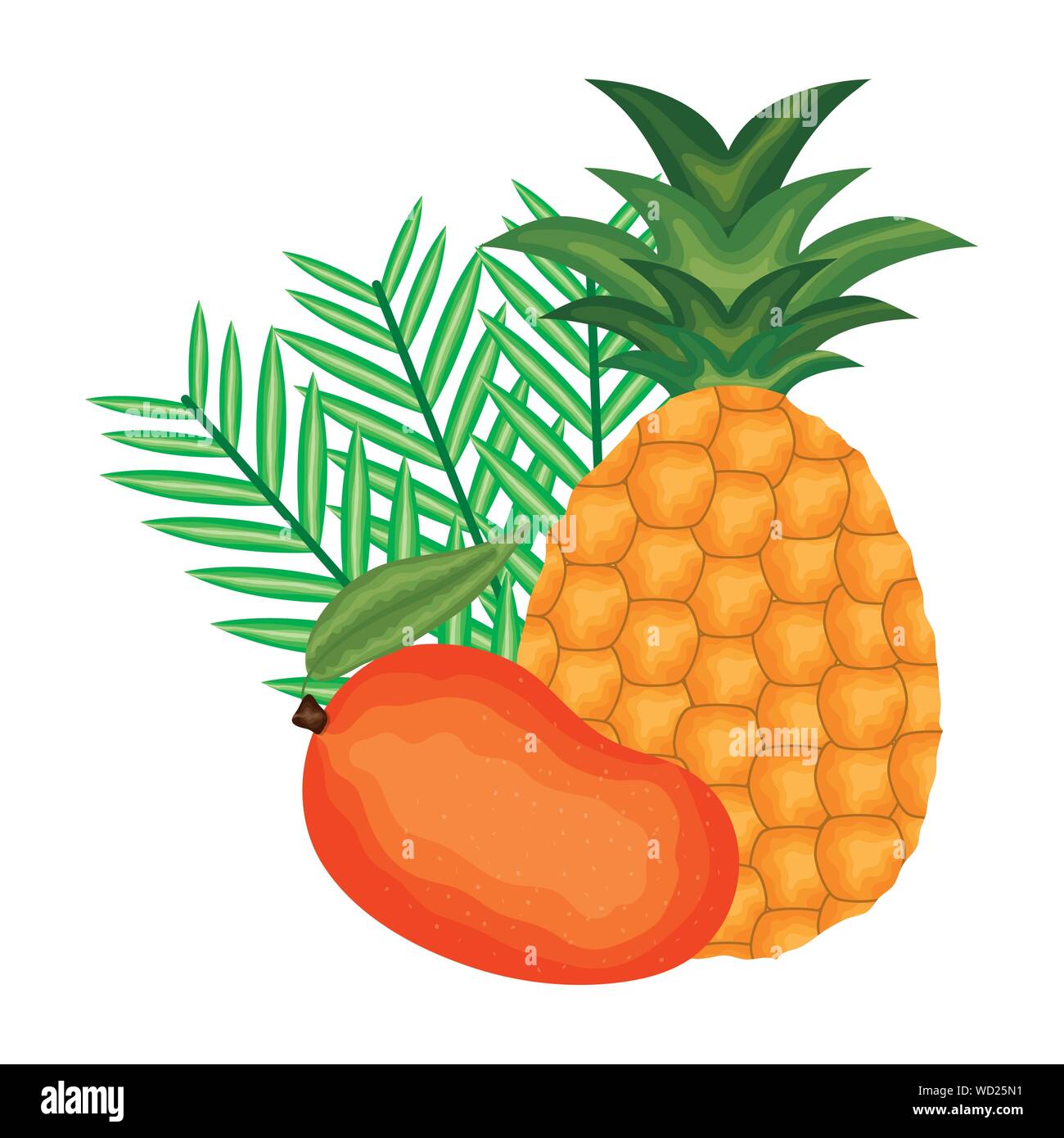 fresh mango and pineapple fruits vector illustration design Stock ...